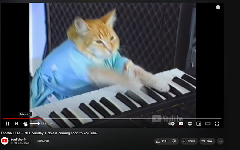 YouTube Volume Control for Google Chrome - Extension Download