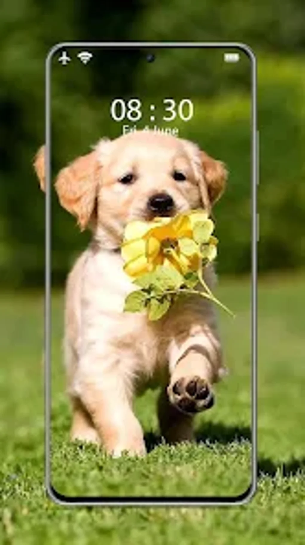 Cute puppy wallpapers for Android - Download