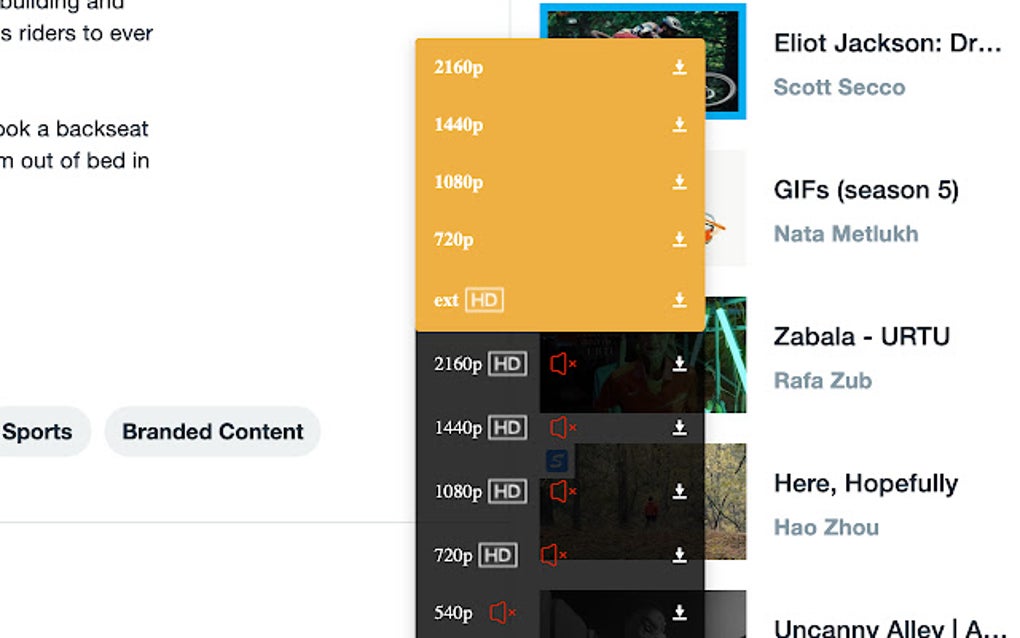 Simple Video Downloader per Google Chrome - Estensione Download