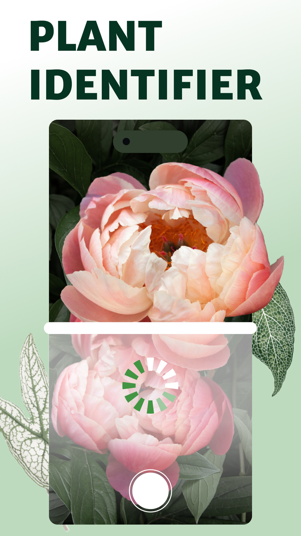 Plant ID - Tree identifier App для iPhone — Скачать