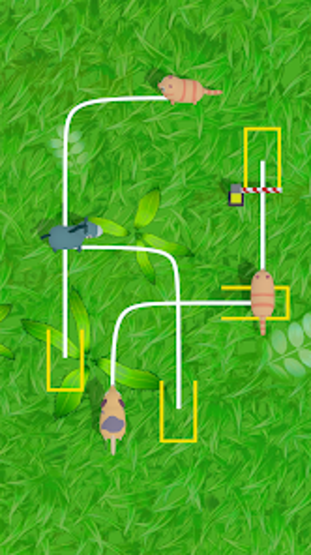 Android 용 Animal Order - 다운로드