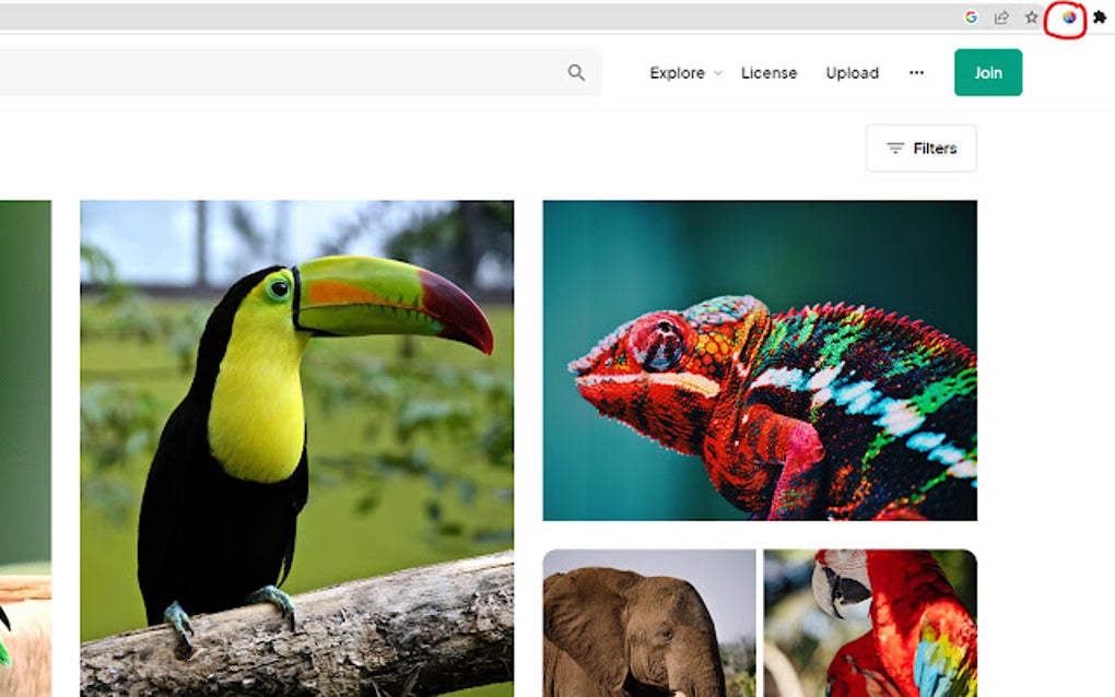 Get Page Images for Google Chrome - Extension Download
