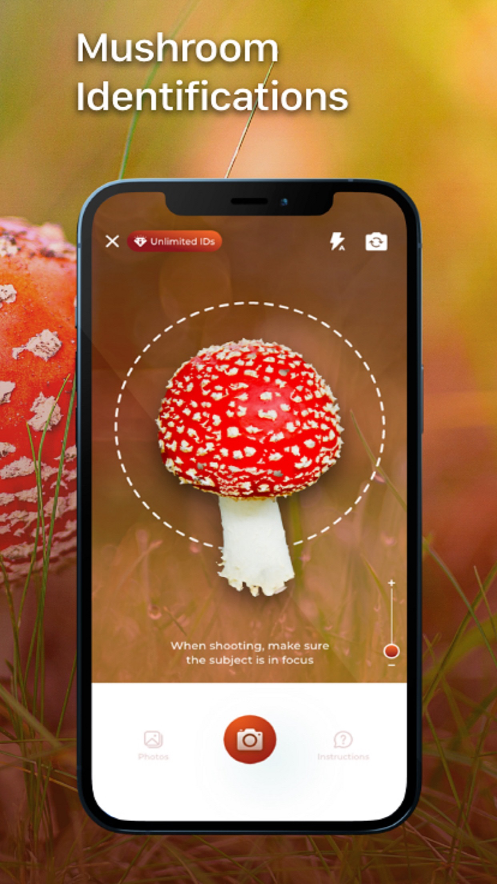 Mushroom Identification per iPhone - Download