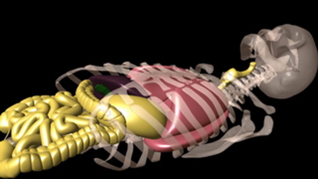 Sofa Simulation Framework | Baci Living Room