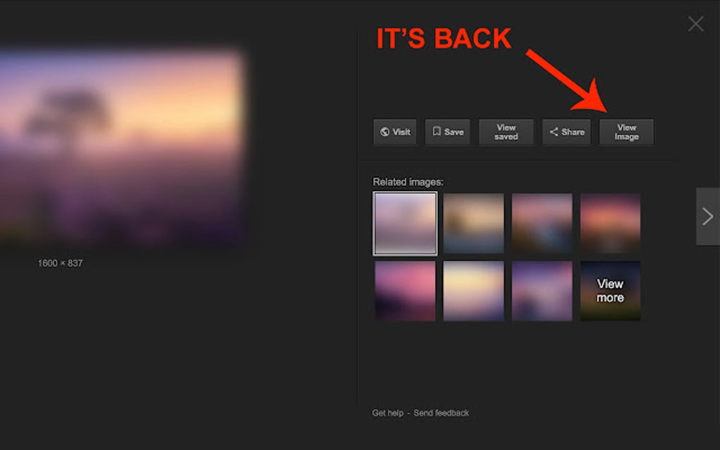 View Image button for Google Images™ for Google Chrome - Extension Download