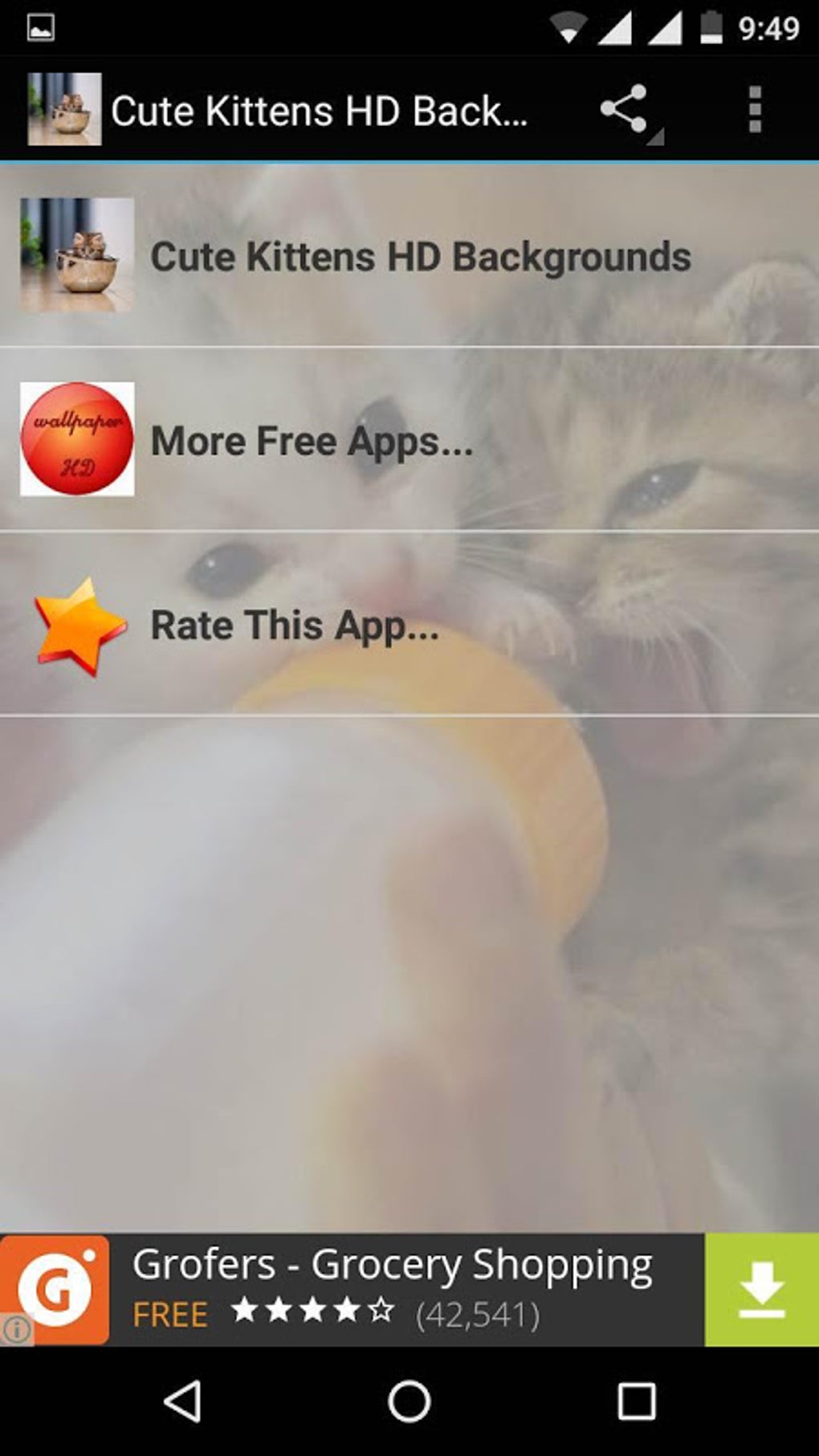 Cute Kitten Wallpapers HD APK for Android - Download