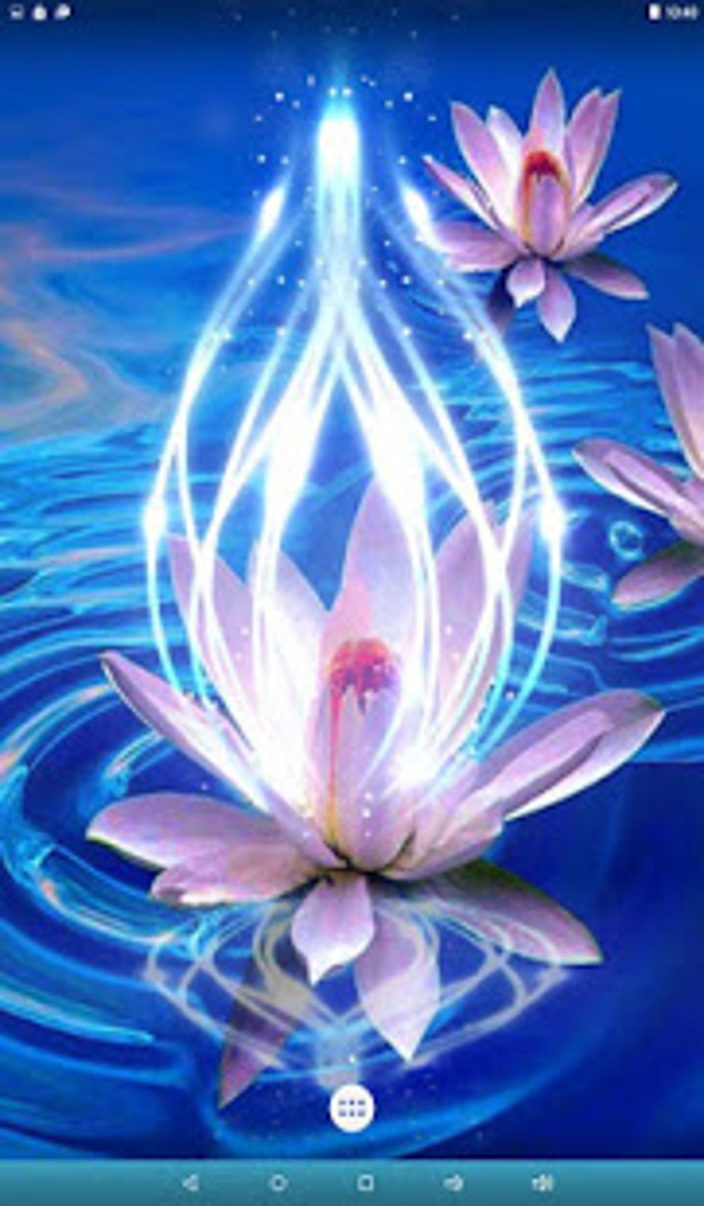 Lotus Live Wallpaper APK para Android - Descargar