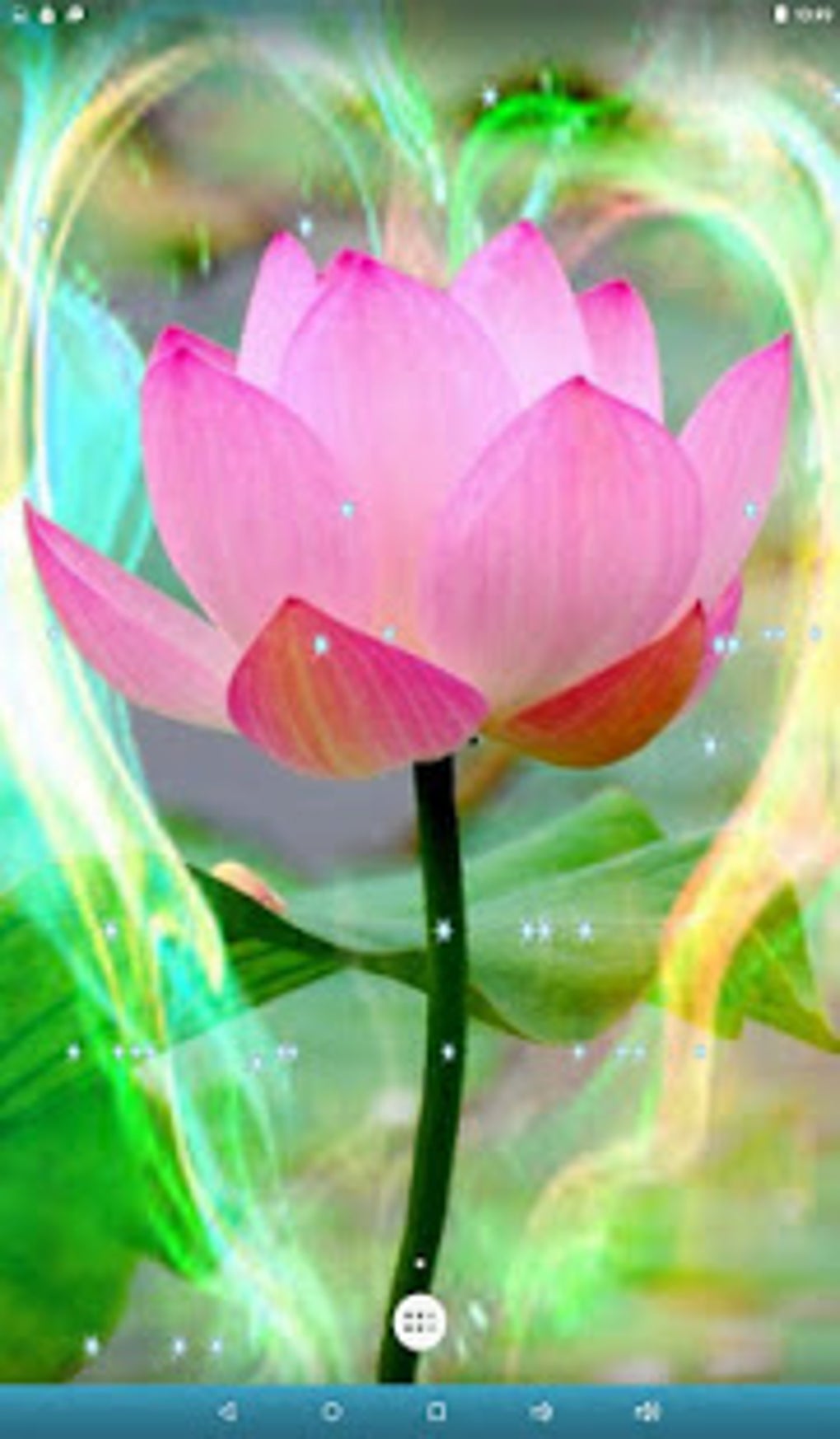 Lotus Live Wallpaper APK para Android - Descargar