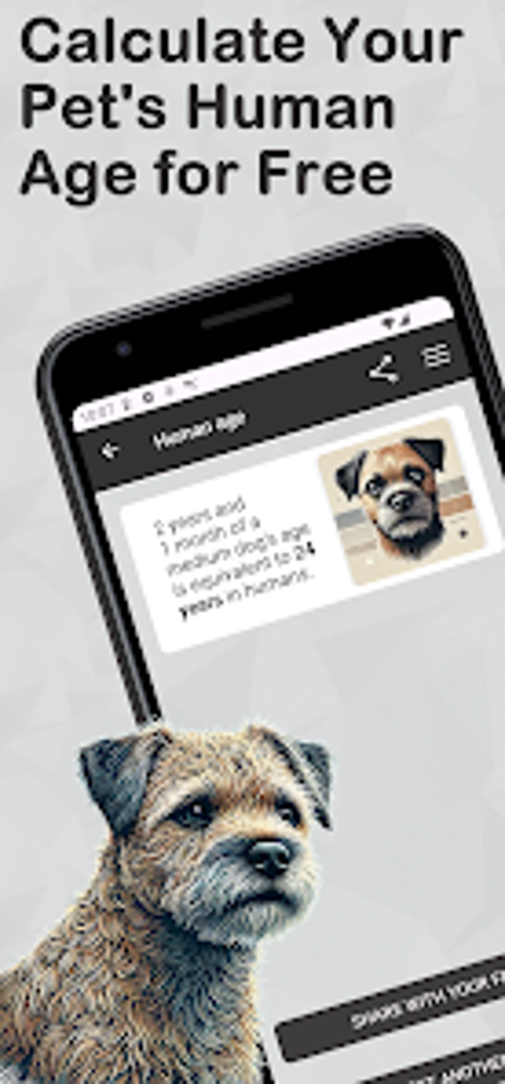 Human Age Dogs Cats and More for Android - Download Human Age Dogs Cats and More for Android - Download