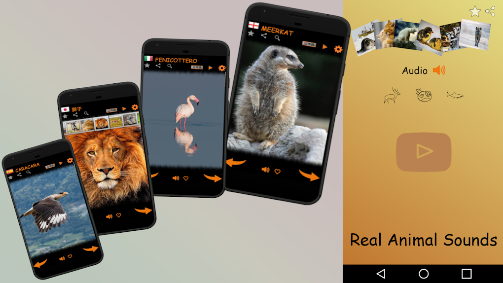 Real Animal Sounds APK Android - ダウンロード