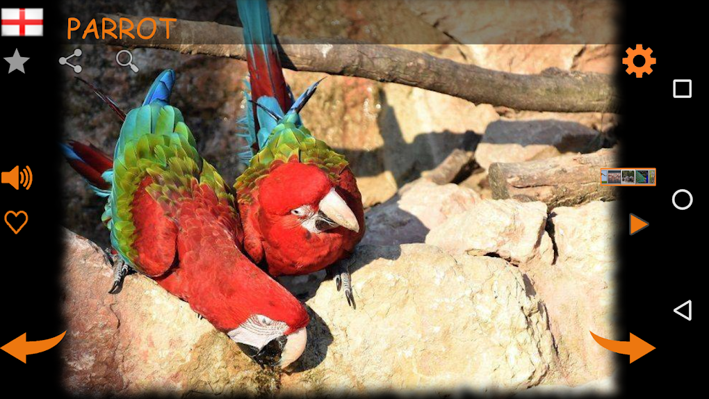 Real Animal Sounds APK for Android - Download