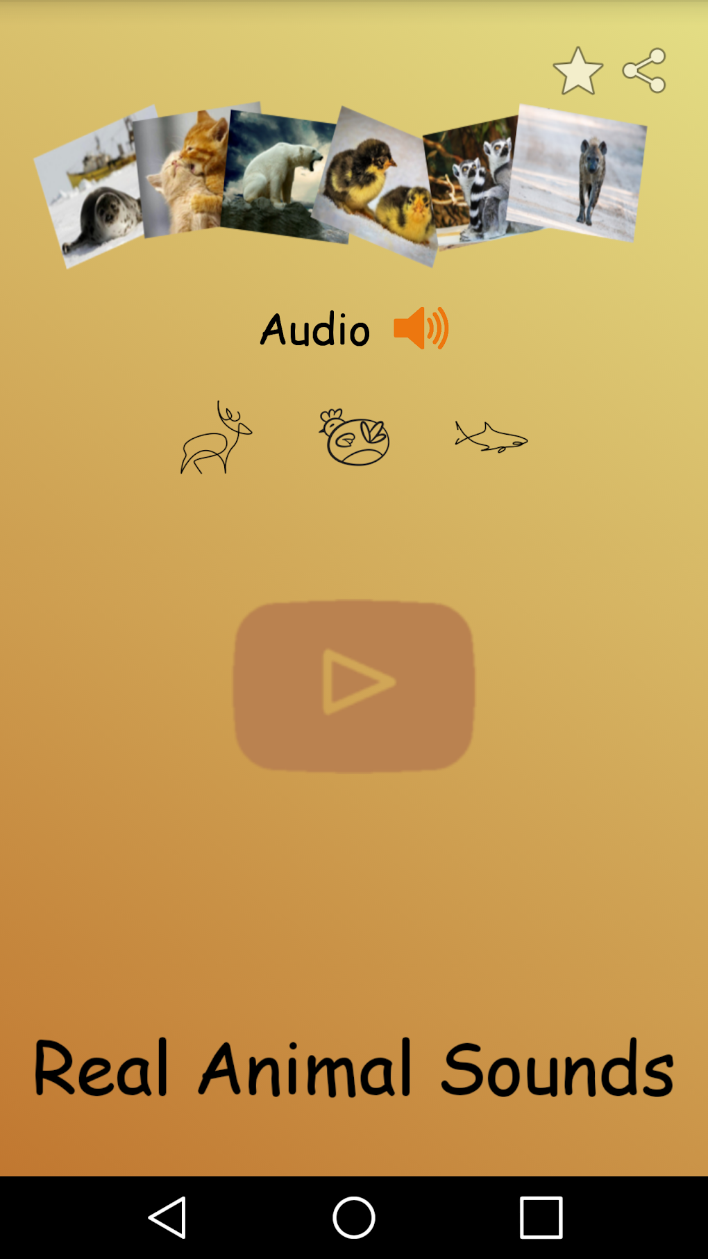 Real Animal Sounds APK para Android - Descargar