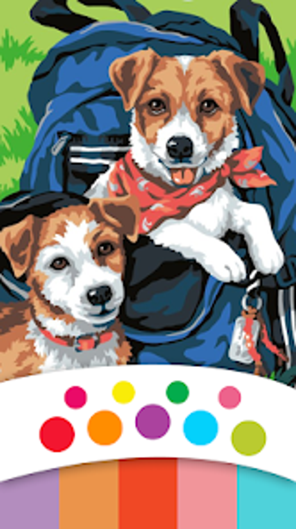 Coloring Books - Colorfy App for Android - Download