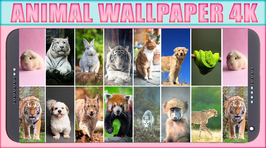 Animal Wallpaper HD for Android - Download