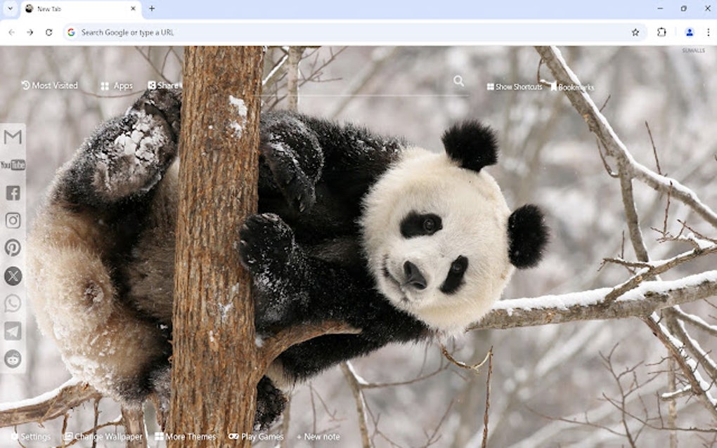 Panda Wallpaper สำหรับ Google Chrome - ส่วนขยาย ดาวน์โหลด