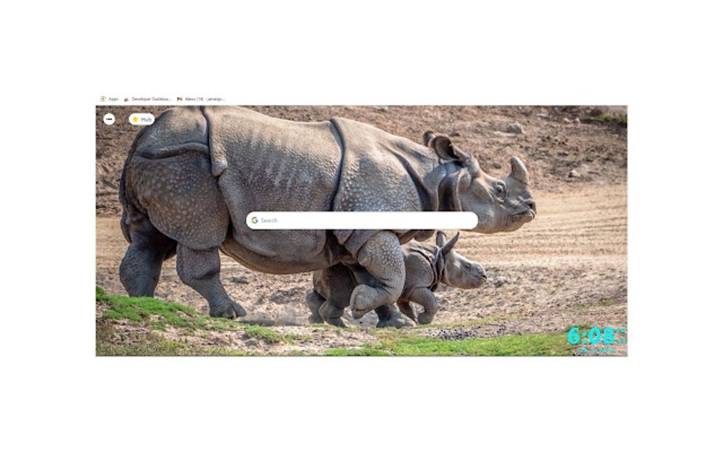 Baby Animals Wallpaper Tab Theme [Install] для Google Chrome ...