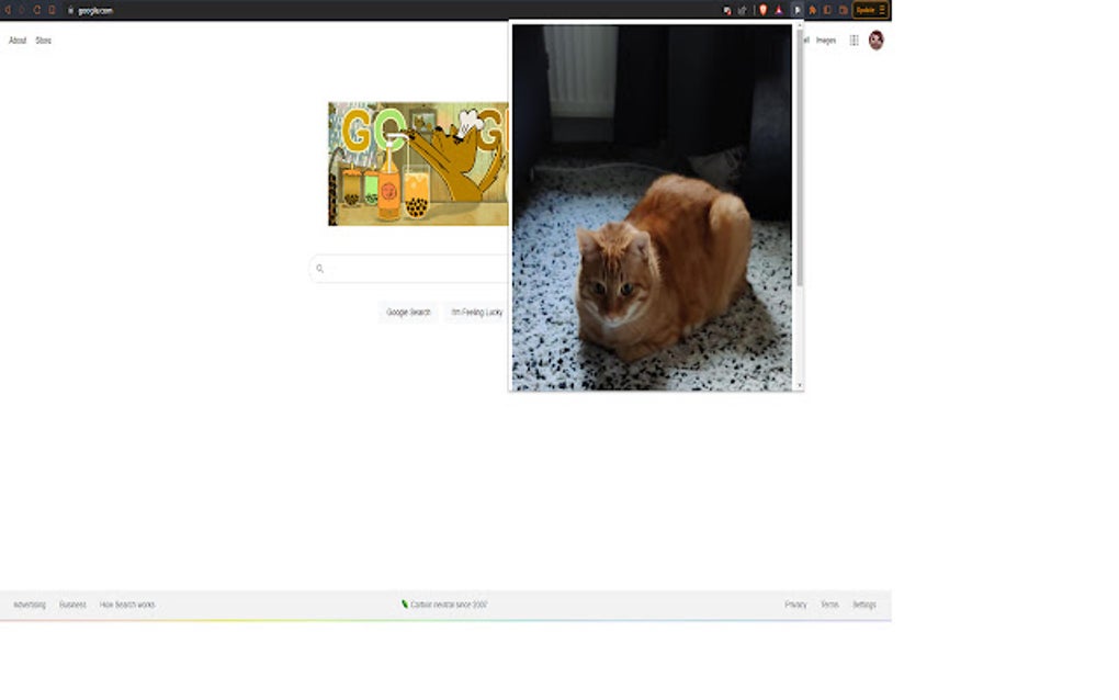 Clap For Cat for Google Chrome - Extension Download