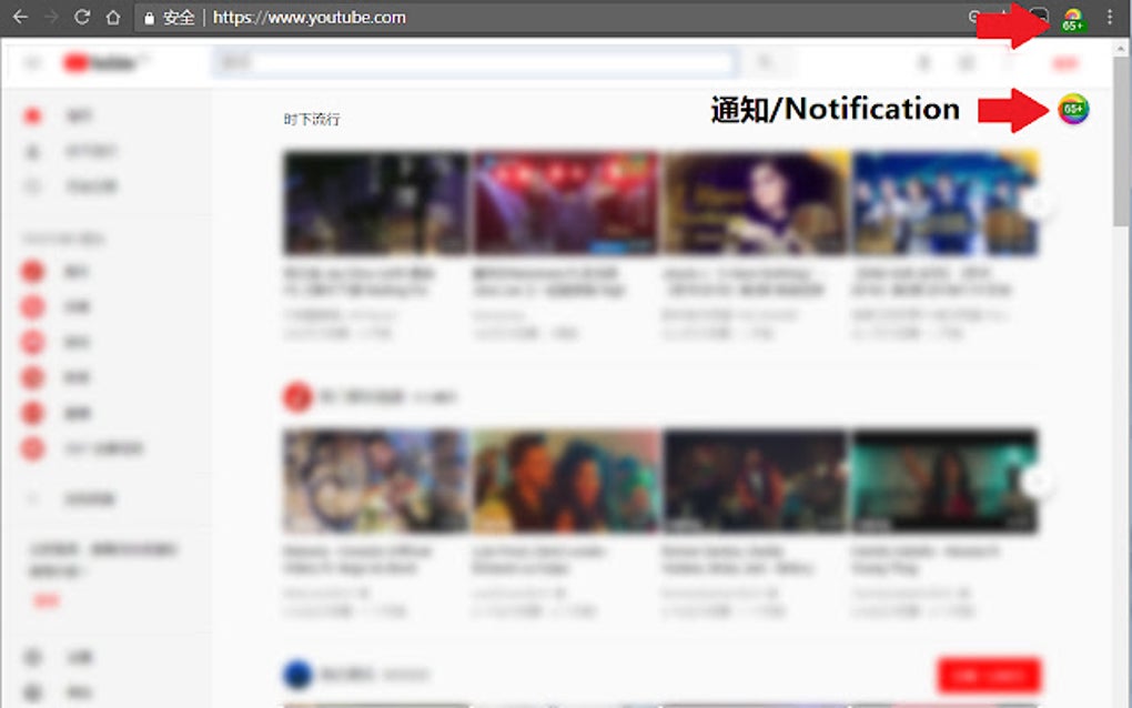 Addon Everywhere for Google Chrome - Extension Download