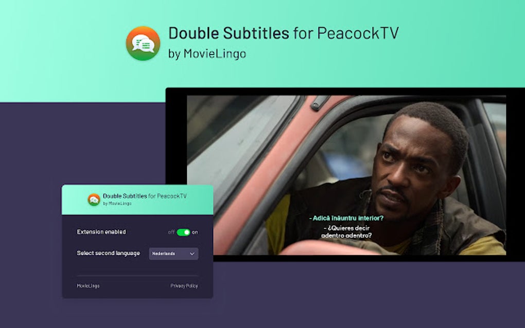 Double Subtitles for Peacock TV by MovieLingo for Google Chrome ...