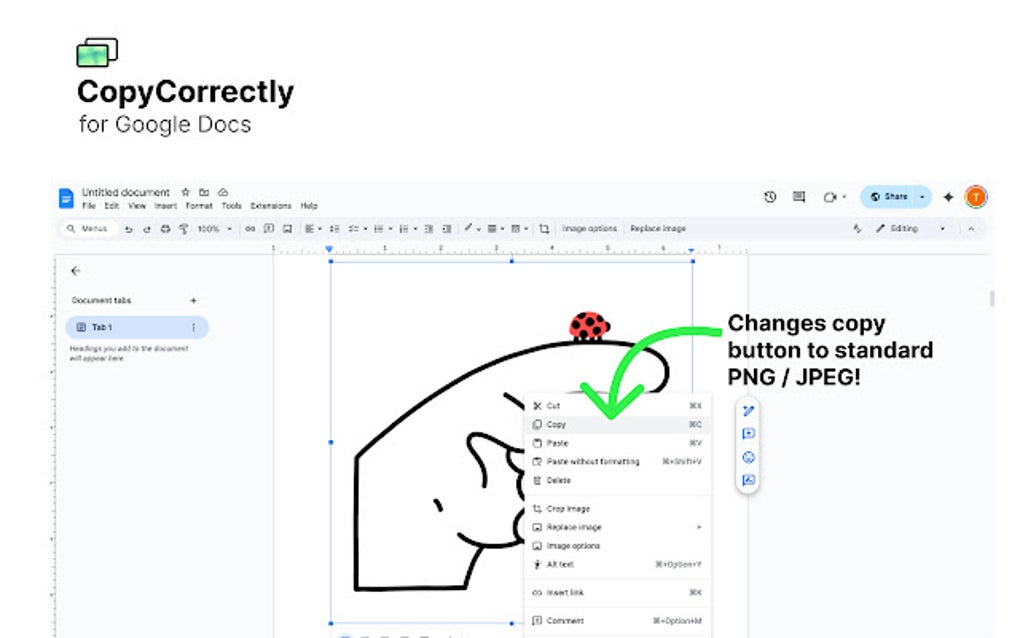 CopyCorrectly for Google Docs สำหรับ Google Chrome - ส่วนขยาย ดาวน์โหลด