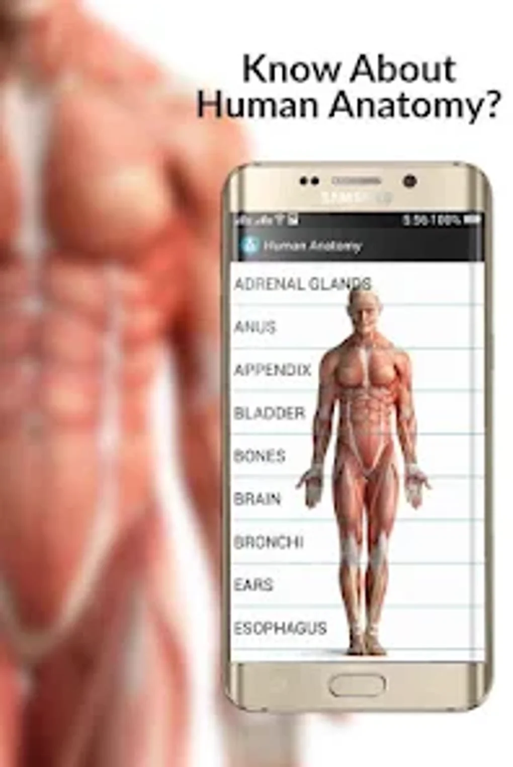 Android 용 Human Anatomy - 다운로드