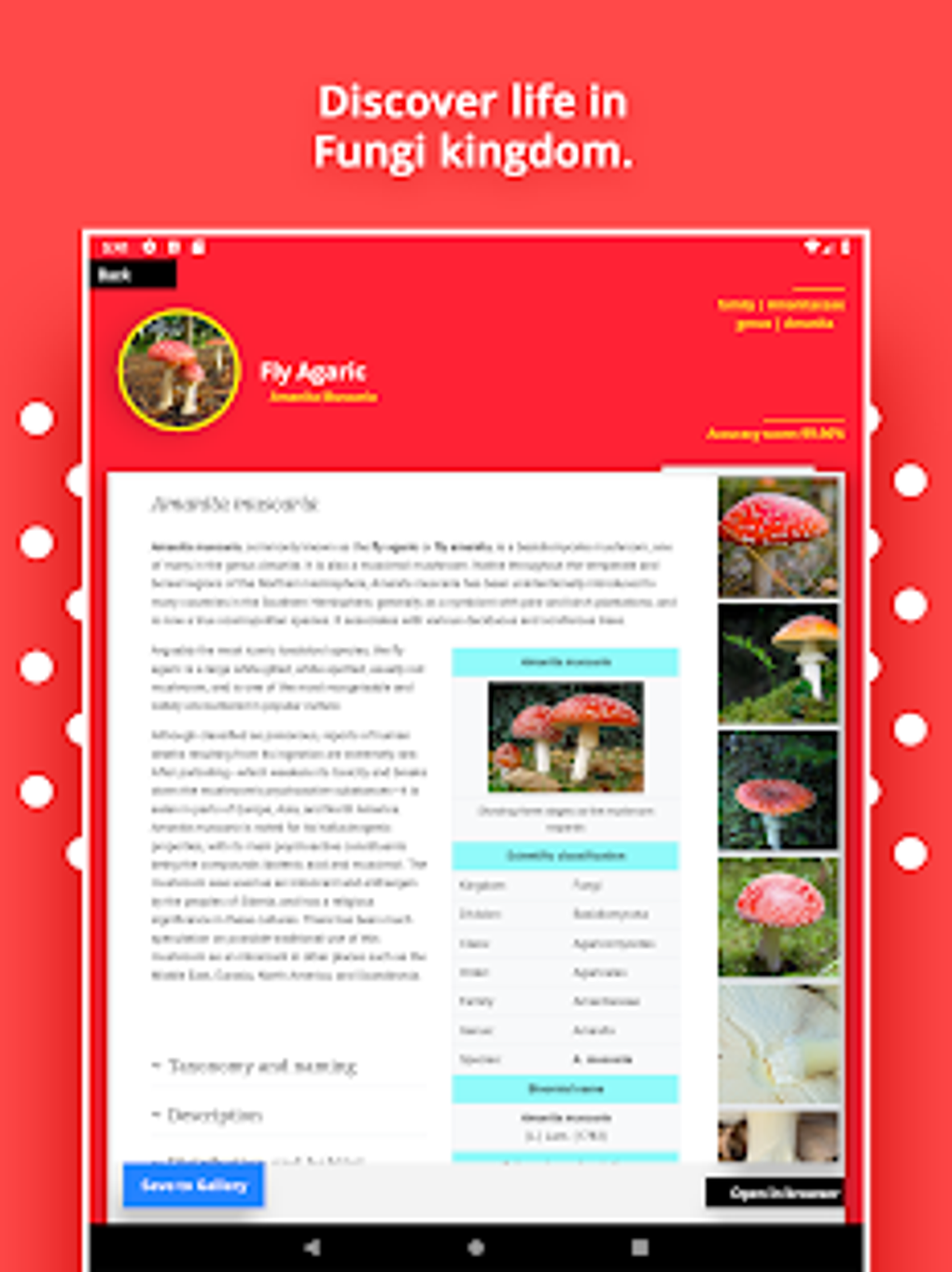 Mushroom Identification per Android - Download
