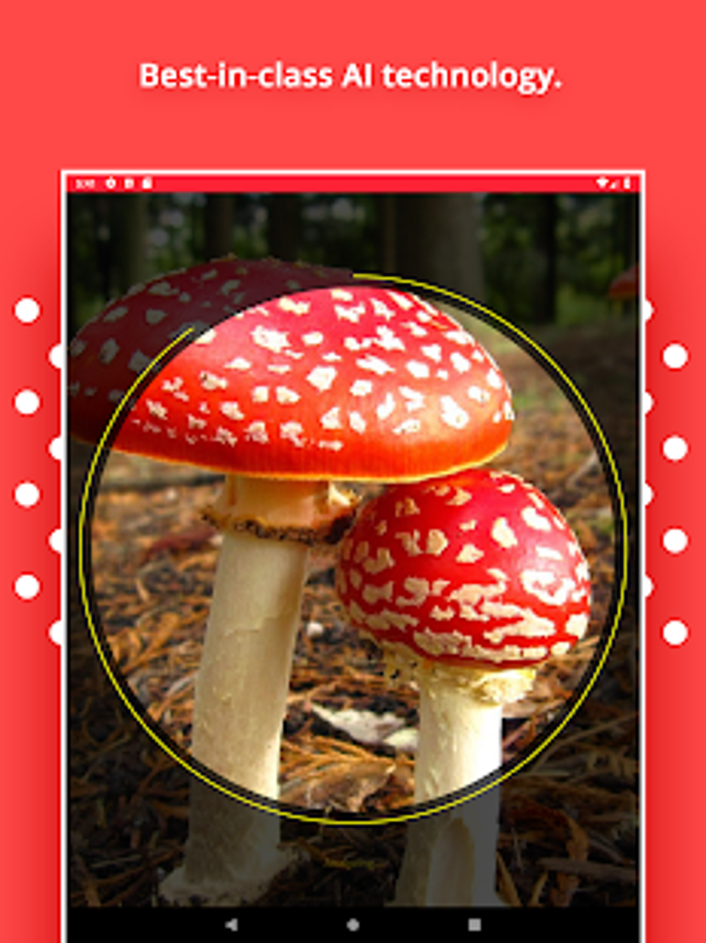 Mushroom Identification Per Android Download