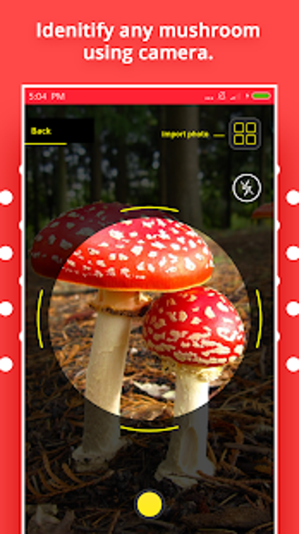 Mushroom Identification per Android - Download
