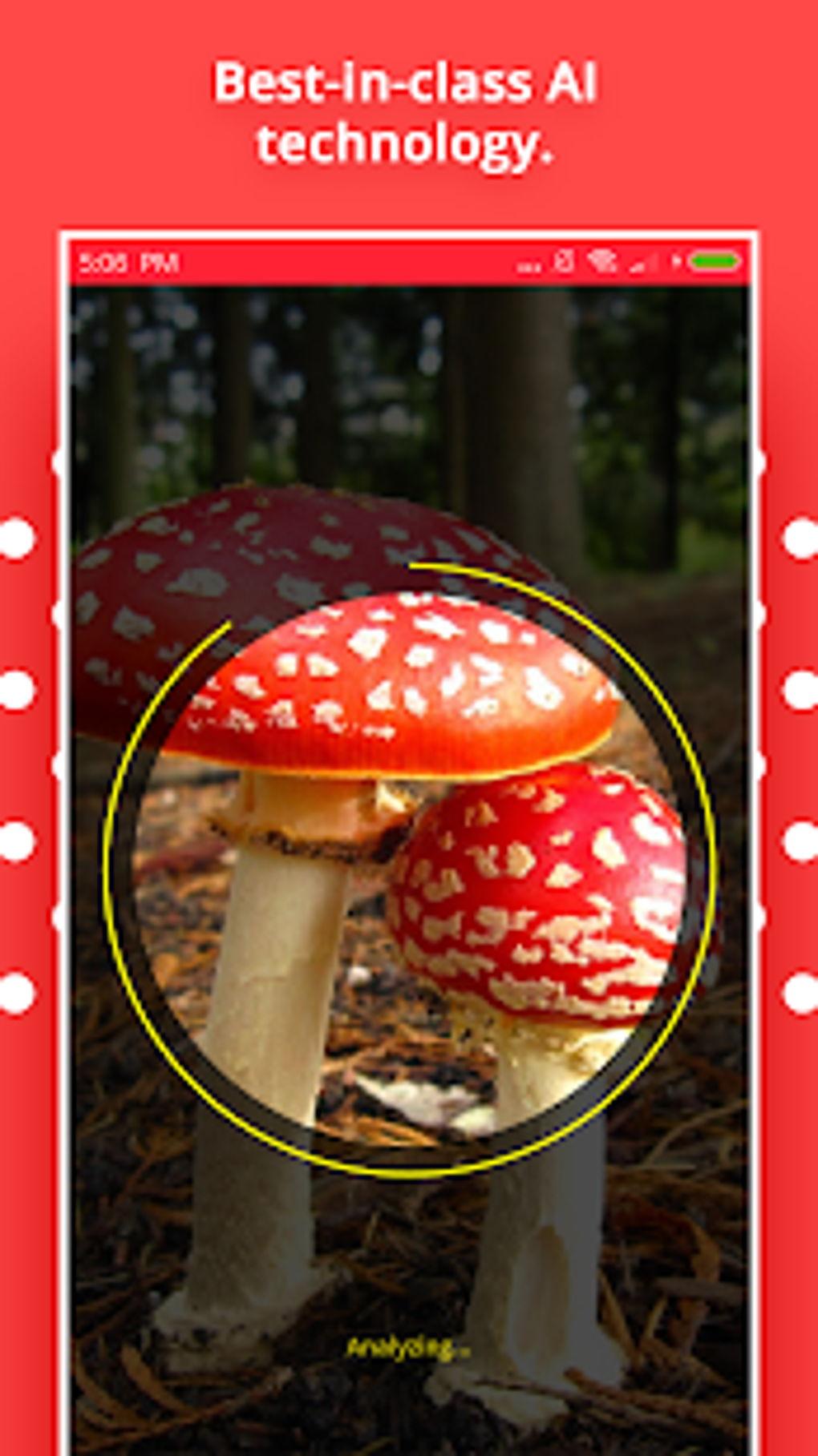 Mushroom Identification per Android - Download