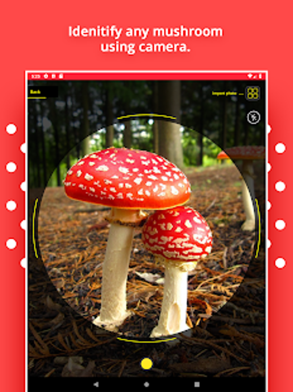 Mushroom Identification per Android - Download