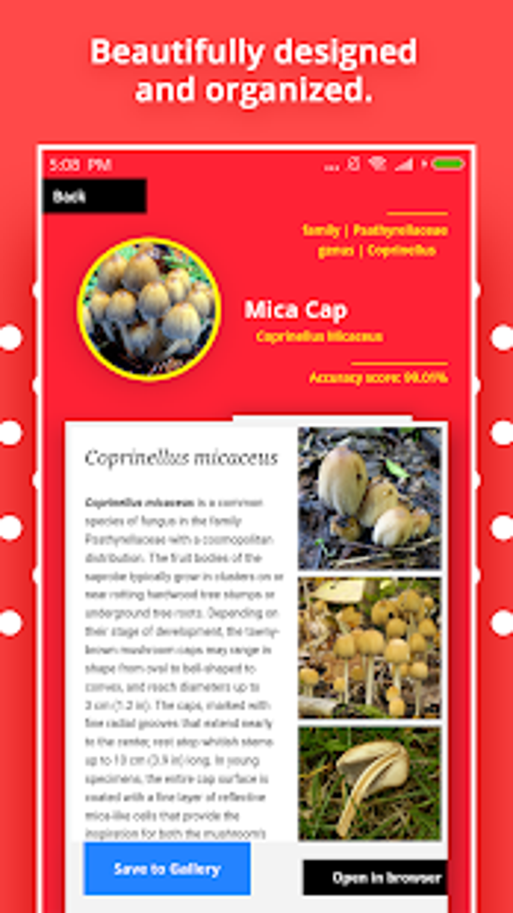 Mushroom Identification per Android - Download