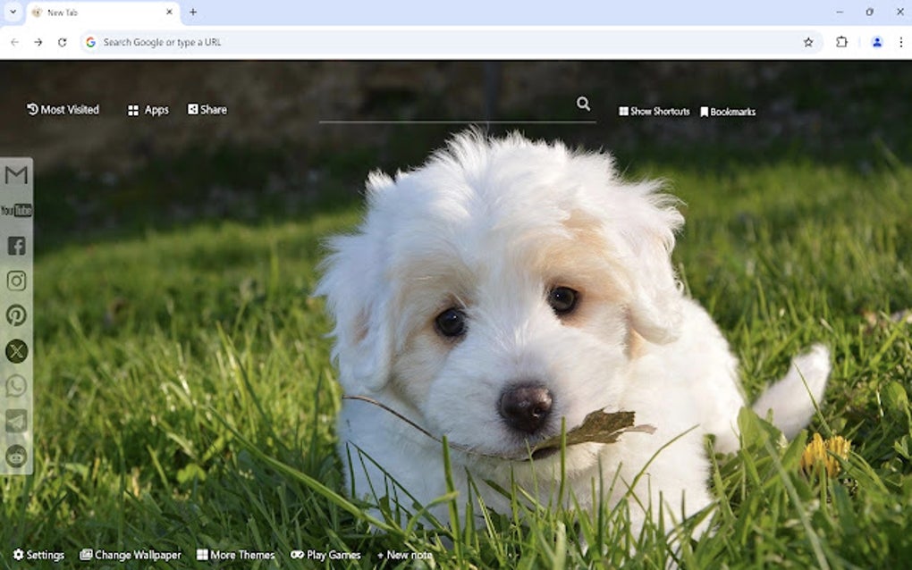Cute Dogs & Puppies Wallpaper สำหรับ Google Chrome - ส่วนขยาย ดาวน์โหลด