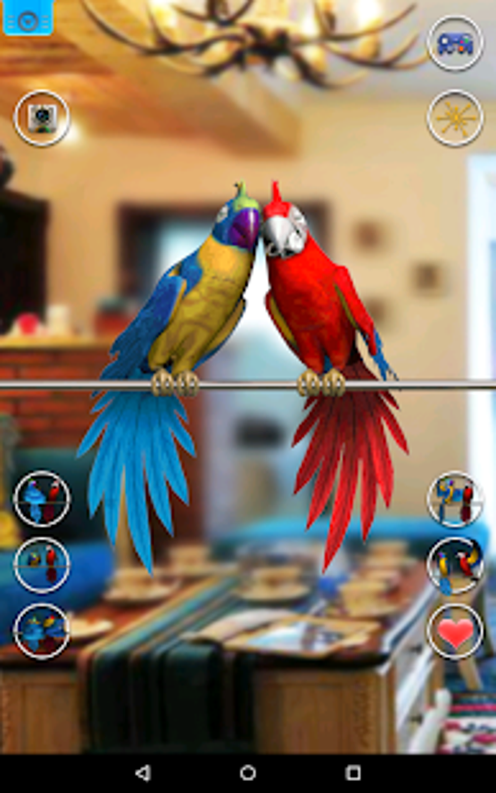 Talking Parrot Couple Free for Android - Download