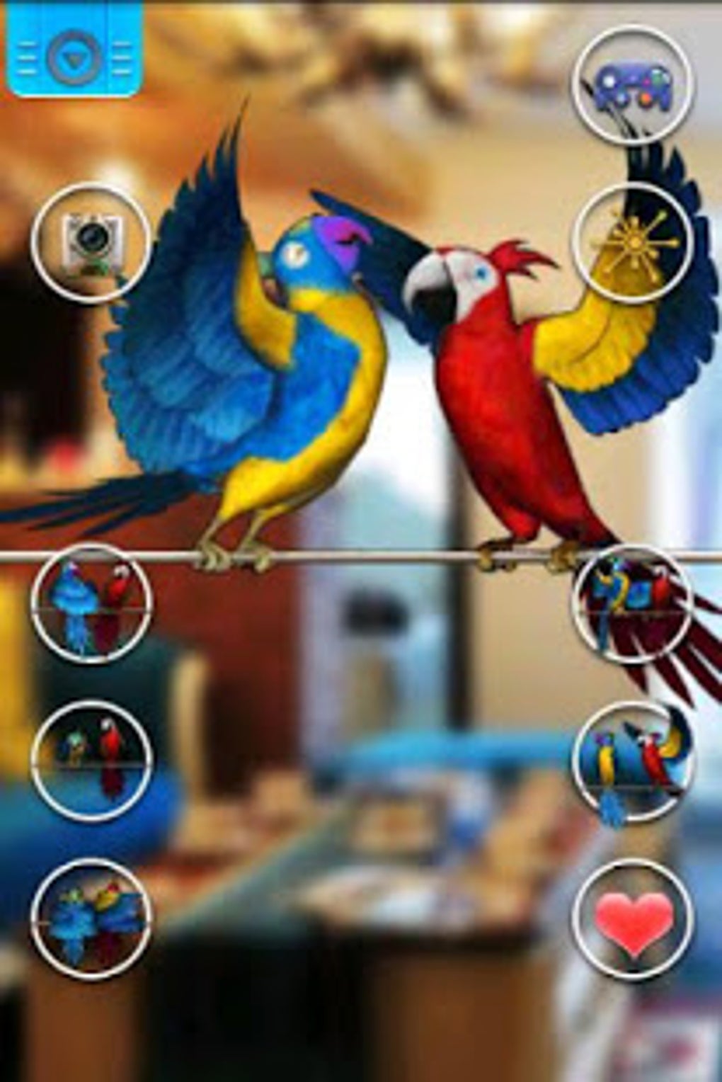 Talking Parrot Couple Free for Android - Download