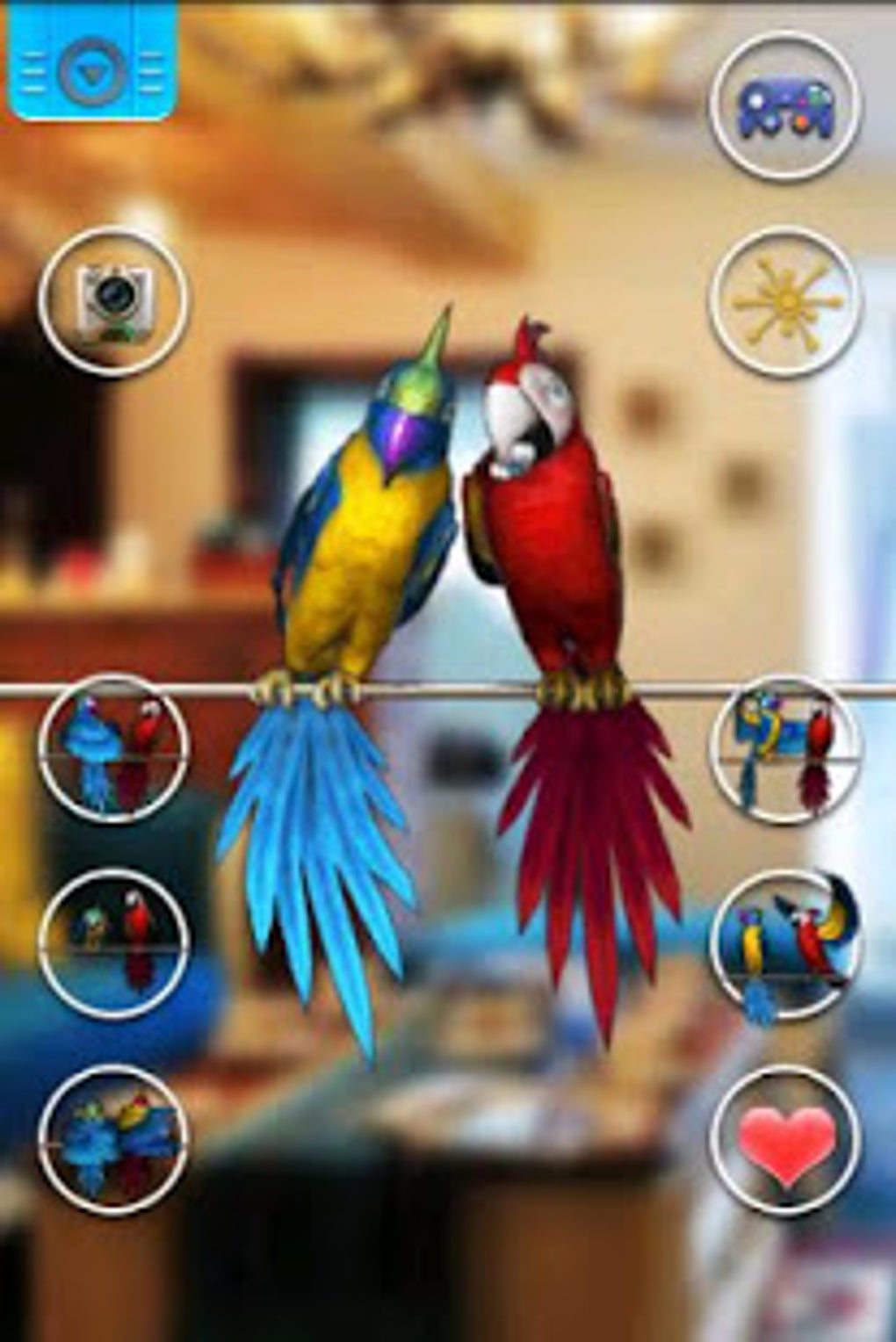 Talking Parrot Couple Free for Android - Download