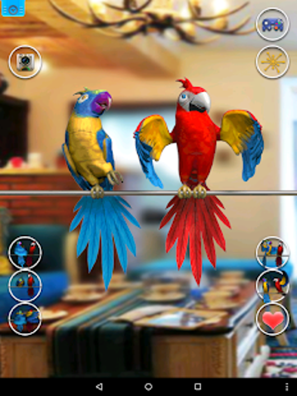 Talking Parrot Couple Free for Android - Download