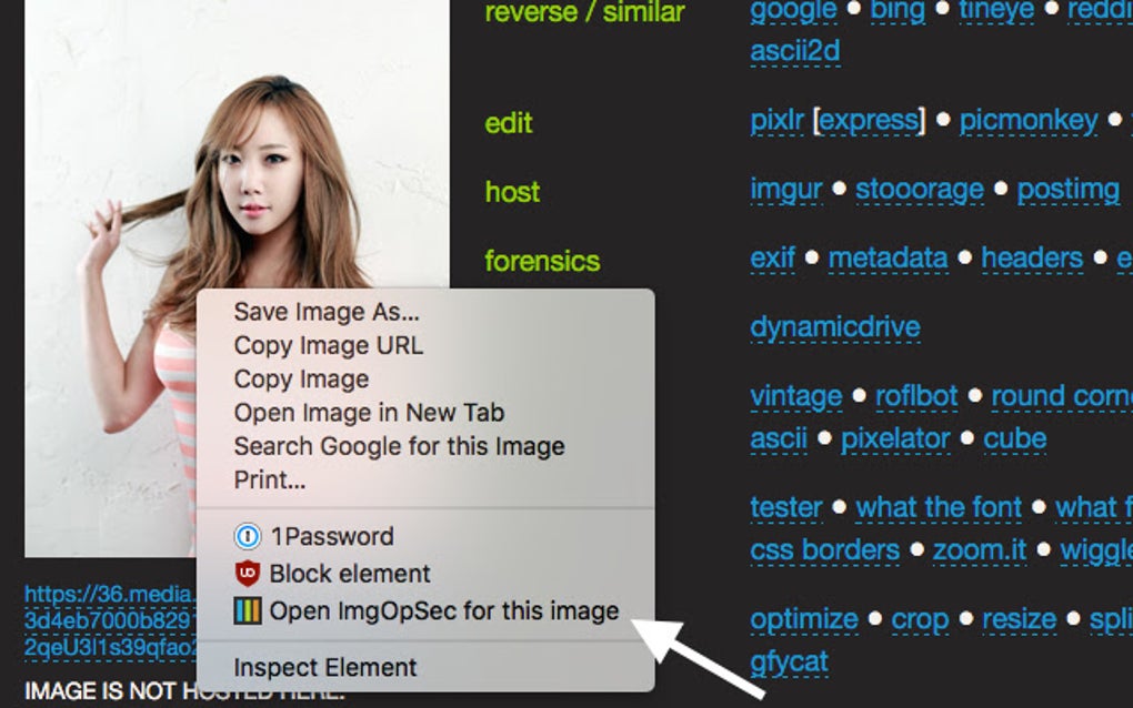 ImgOpSec per Google Chrome - Estensione Download