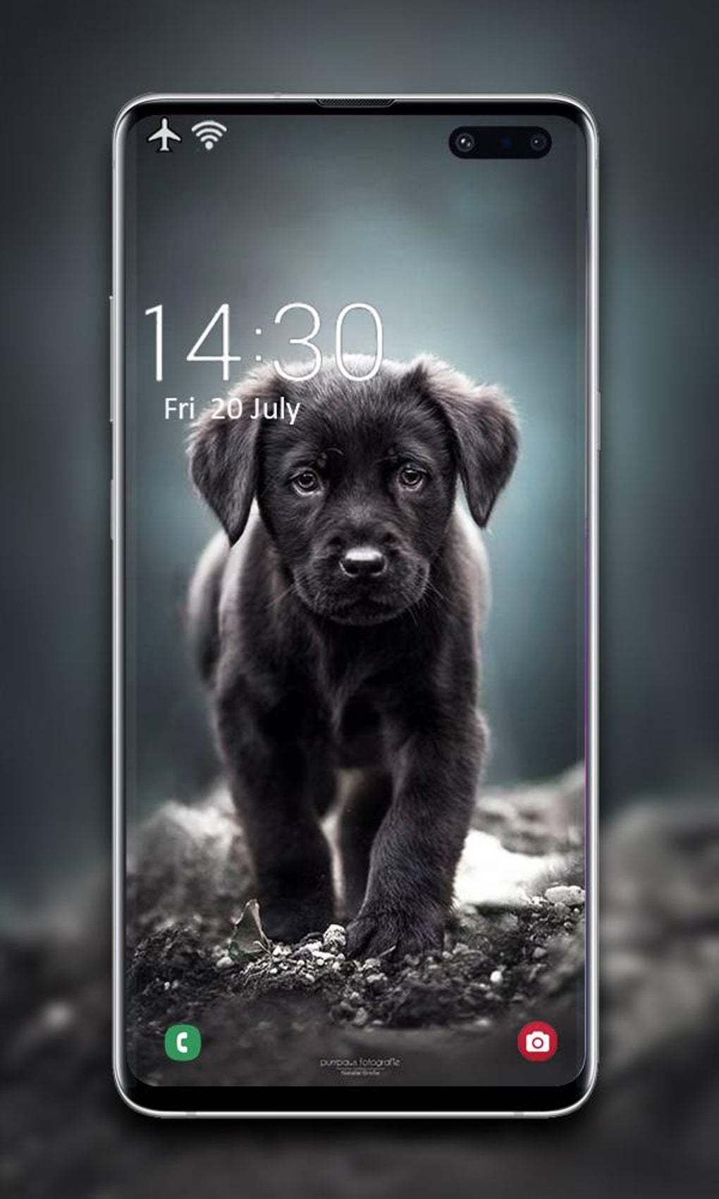 Puppy Wallpaper for Android - Download