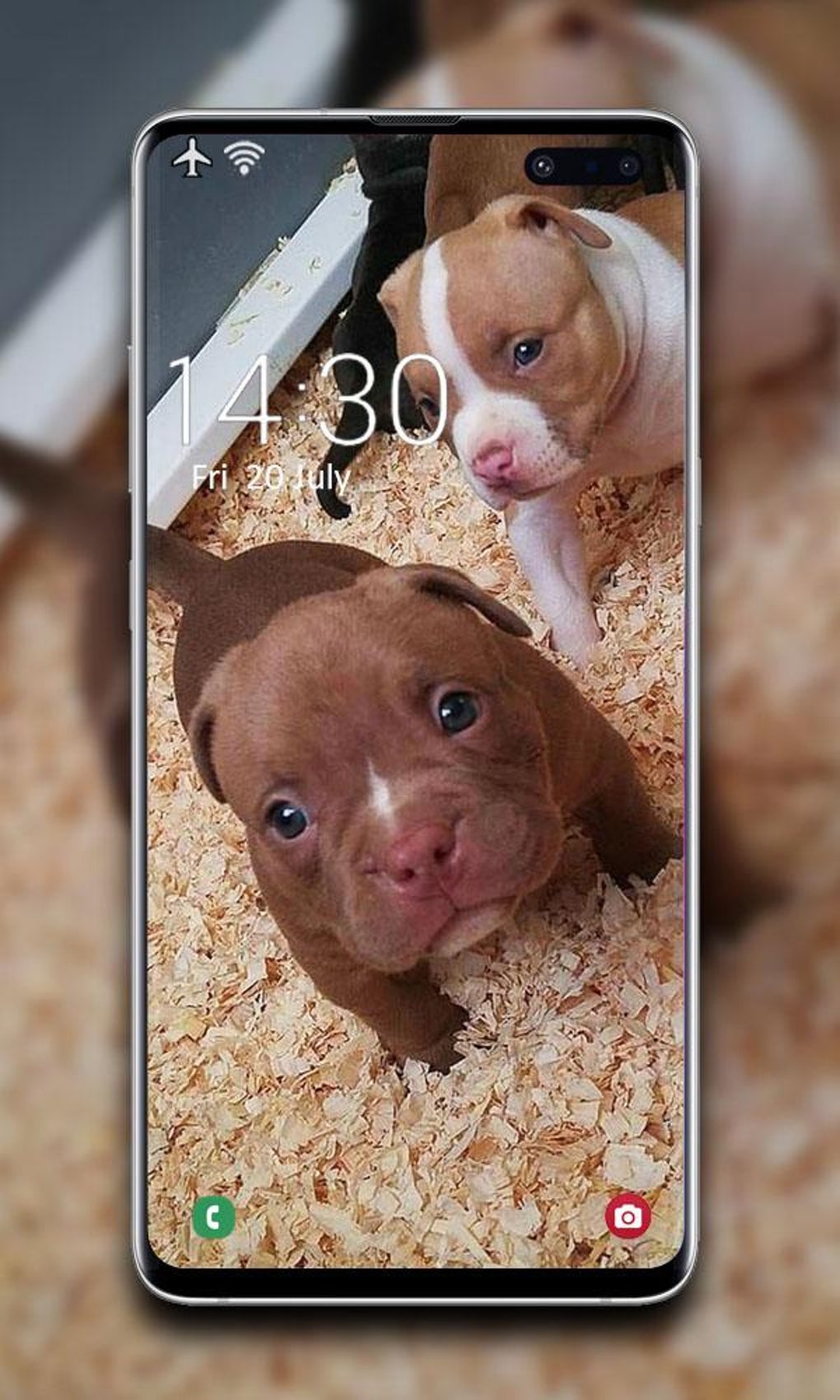 Puppy Wallpaper for Android - Download