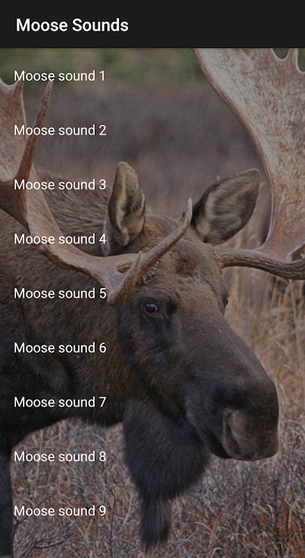 Moose Sounds APK for Android - Download