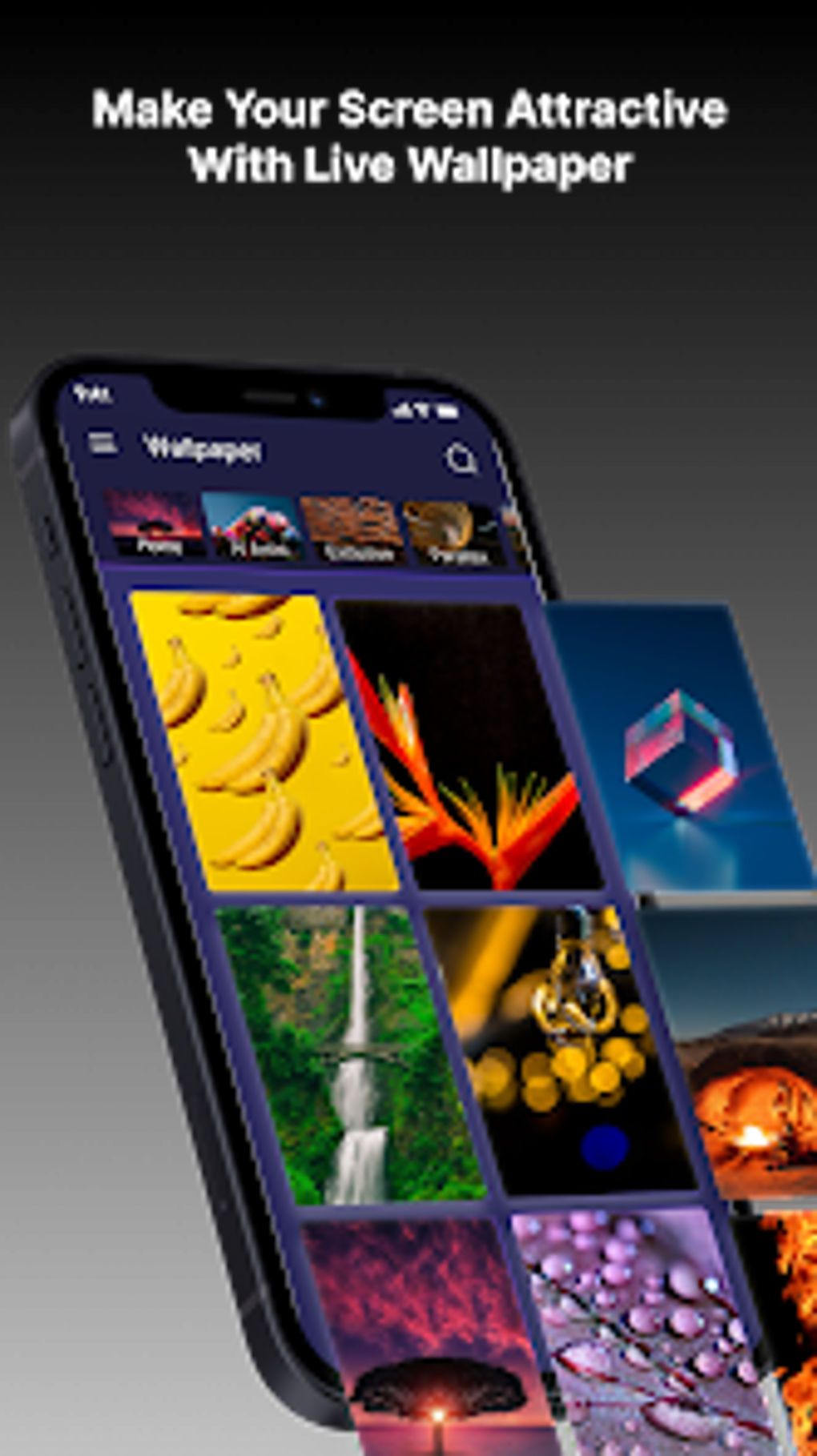 Live Wallpaper: HD Wallpaper für Android - Download