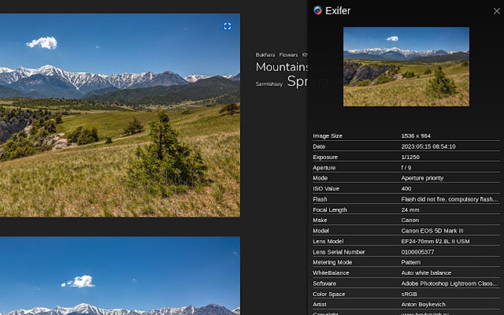Exifer for Google Chrome - Extension Download