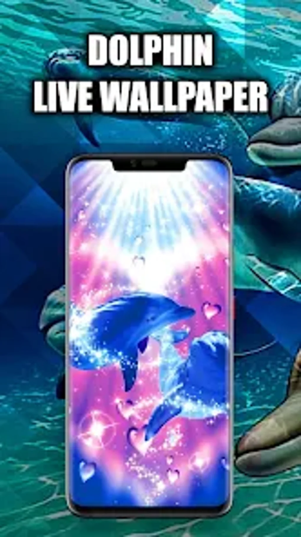 Dolphin Wallpaper Live HD3D for Android - Download