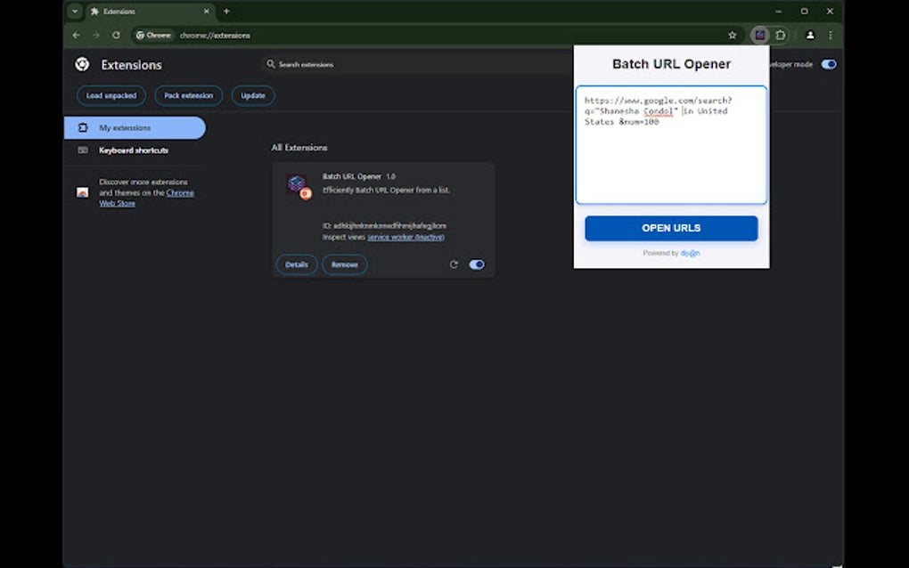 Batch URL Opener for Google Chrome - Extension Download