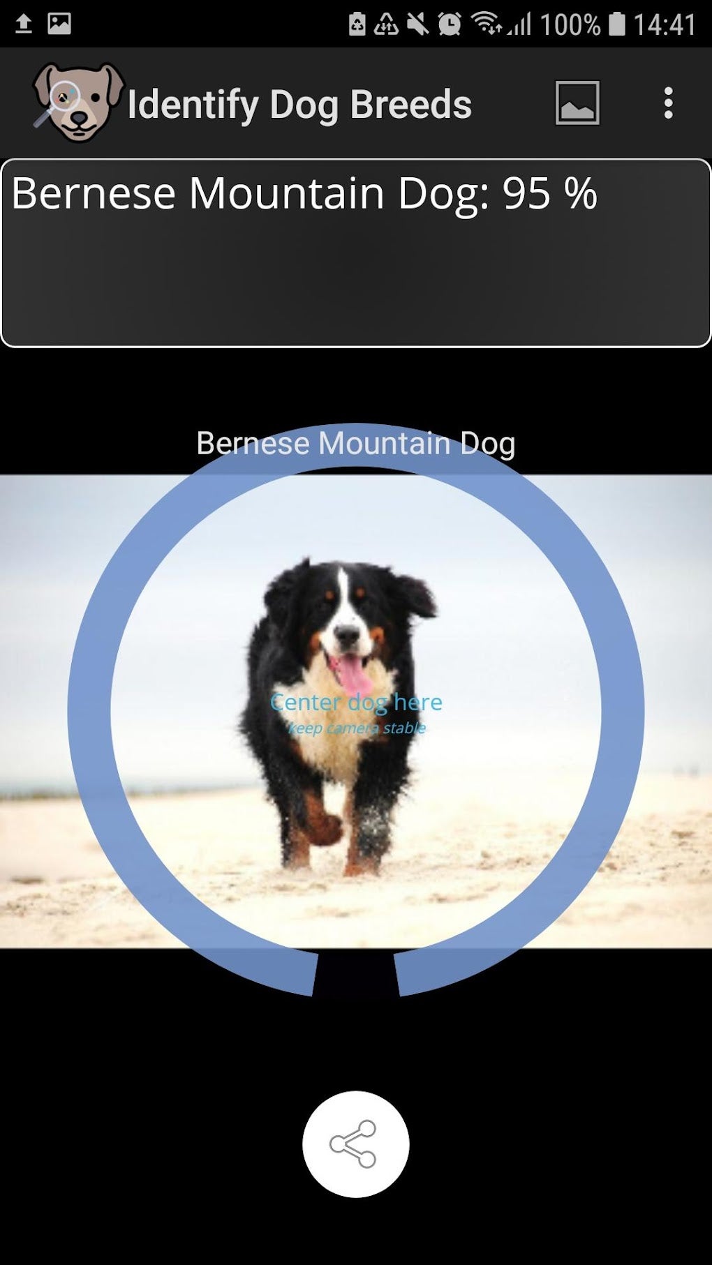 Identify Dog Breeds APK per Android - Download