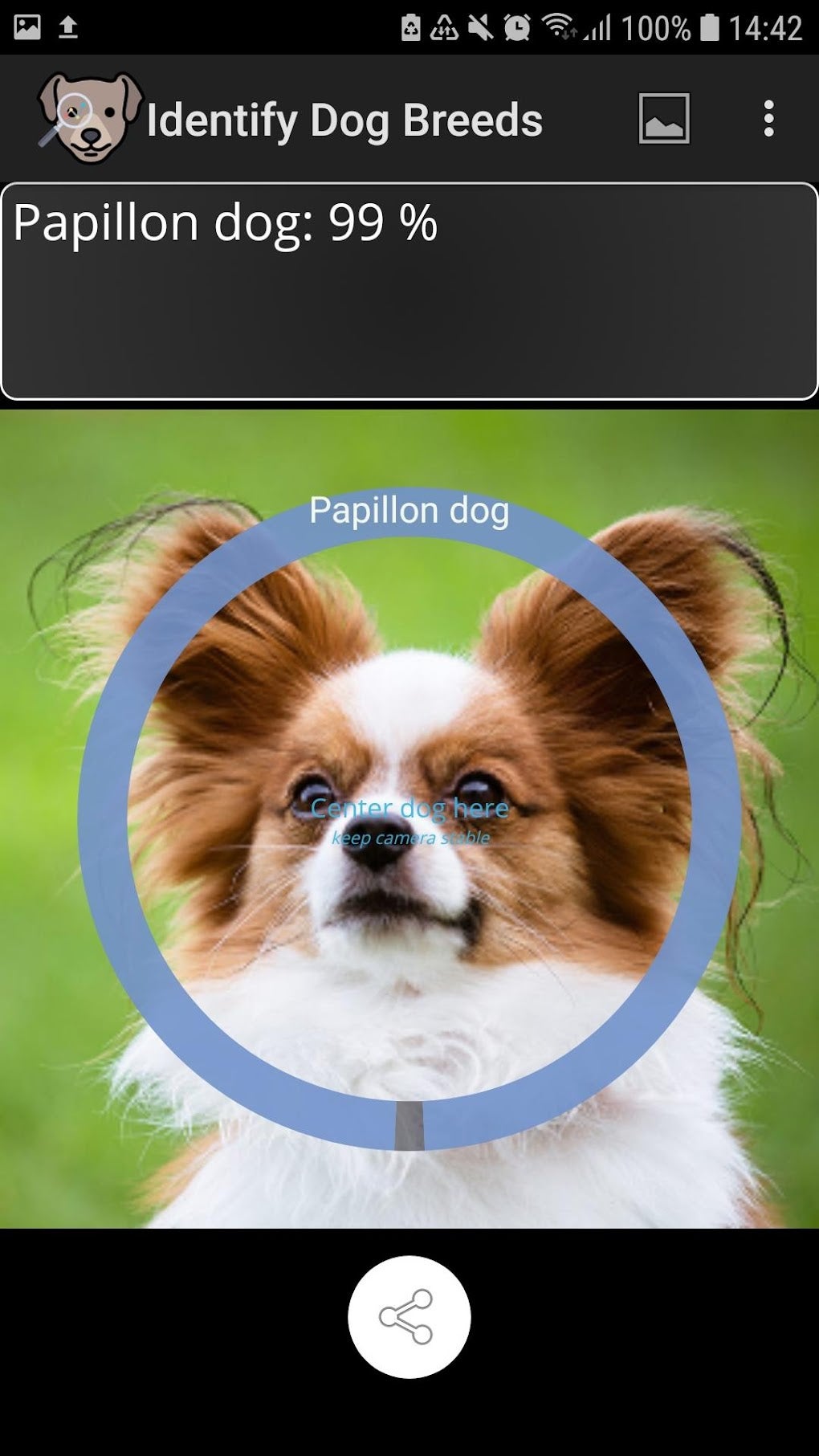 Identify Dog Breeds APK for Android - Download