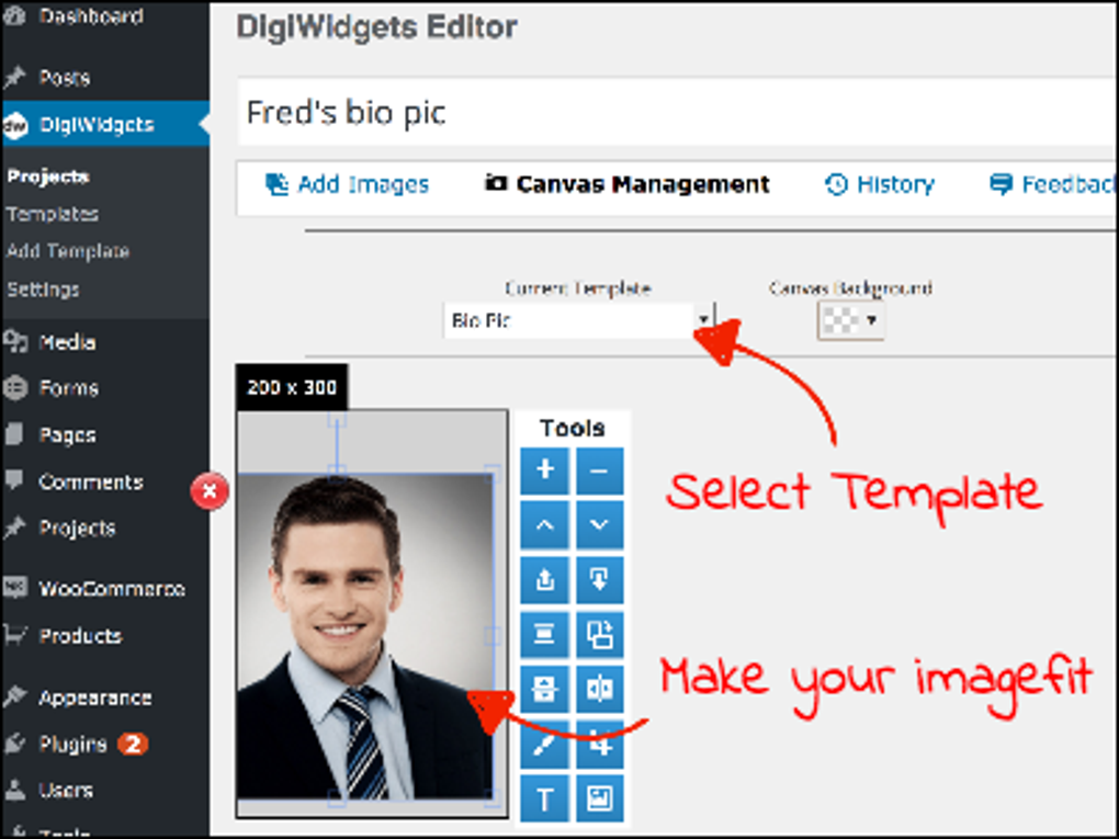DigiWidgets Image Editor for WordPress - Download