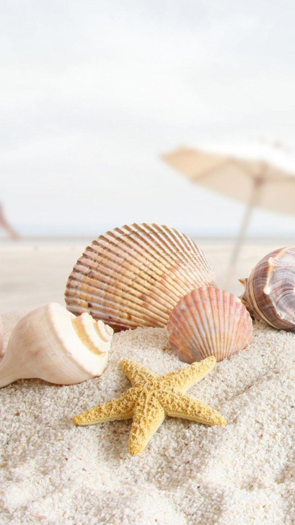 Summer Live Wallpaper for Android - Download