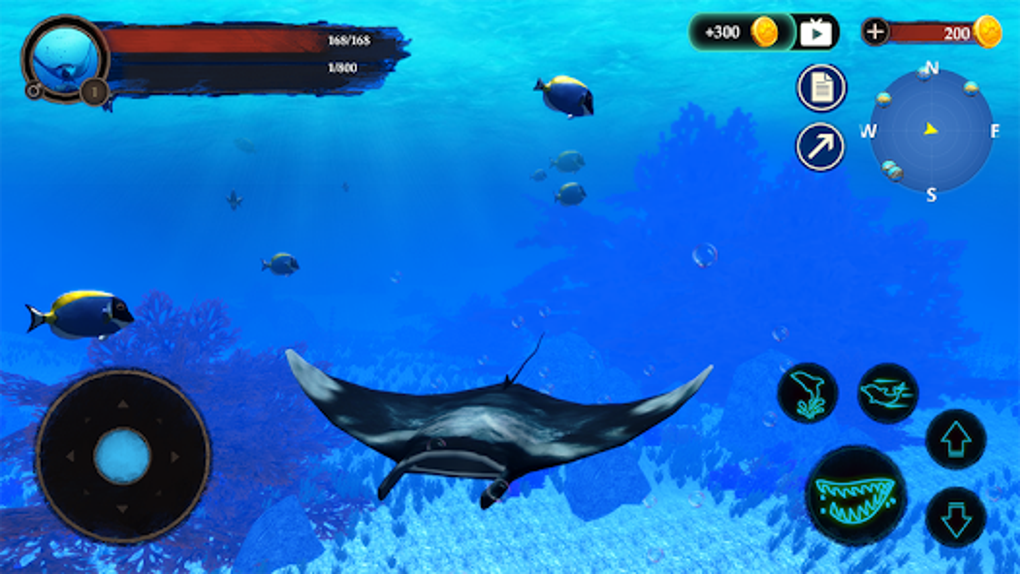 The Manta rays for Android - Download