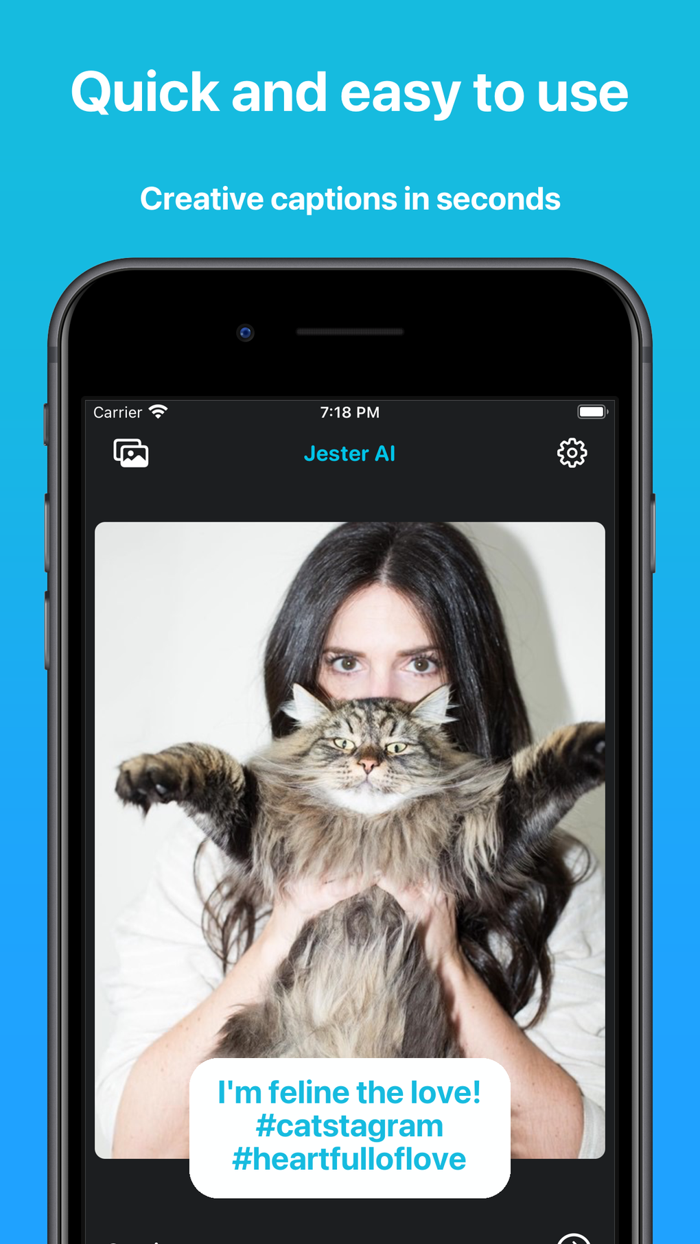 Jester AI - Caption Writer for AI Text generator & editor: review ...